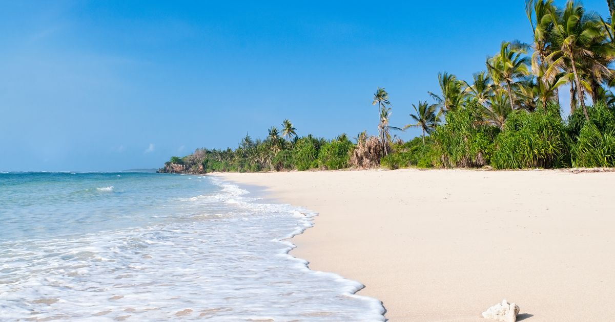 Seamless Coastal Ride: Jacaranda Bay to Diani Airport (UKA) — Your ...